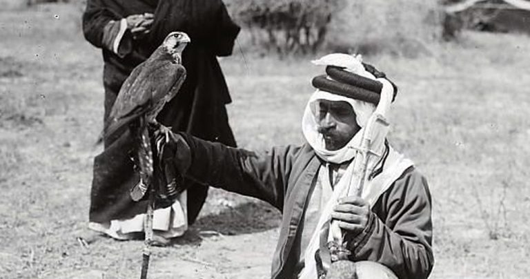 Falconry | Traditional and HeritageSymbol of the UAE