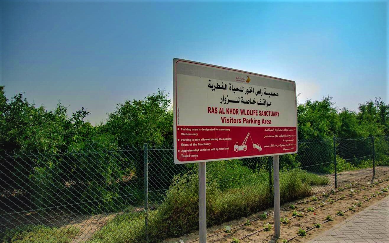 Ras Al Khor Wildlife Sanctuary | Dubai Wildlife